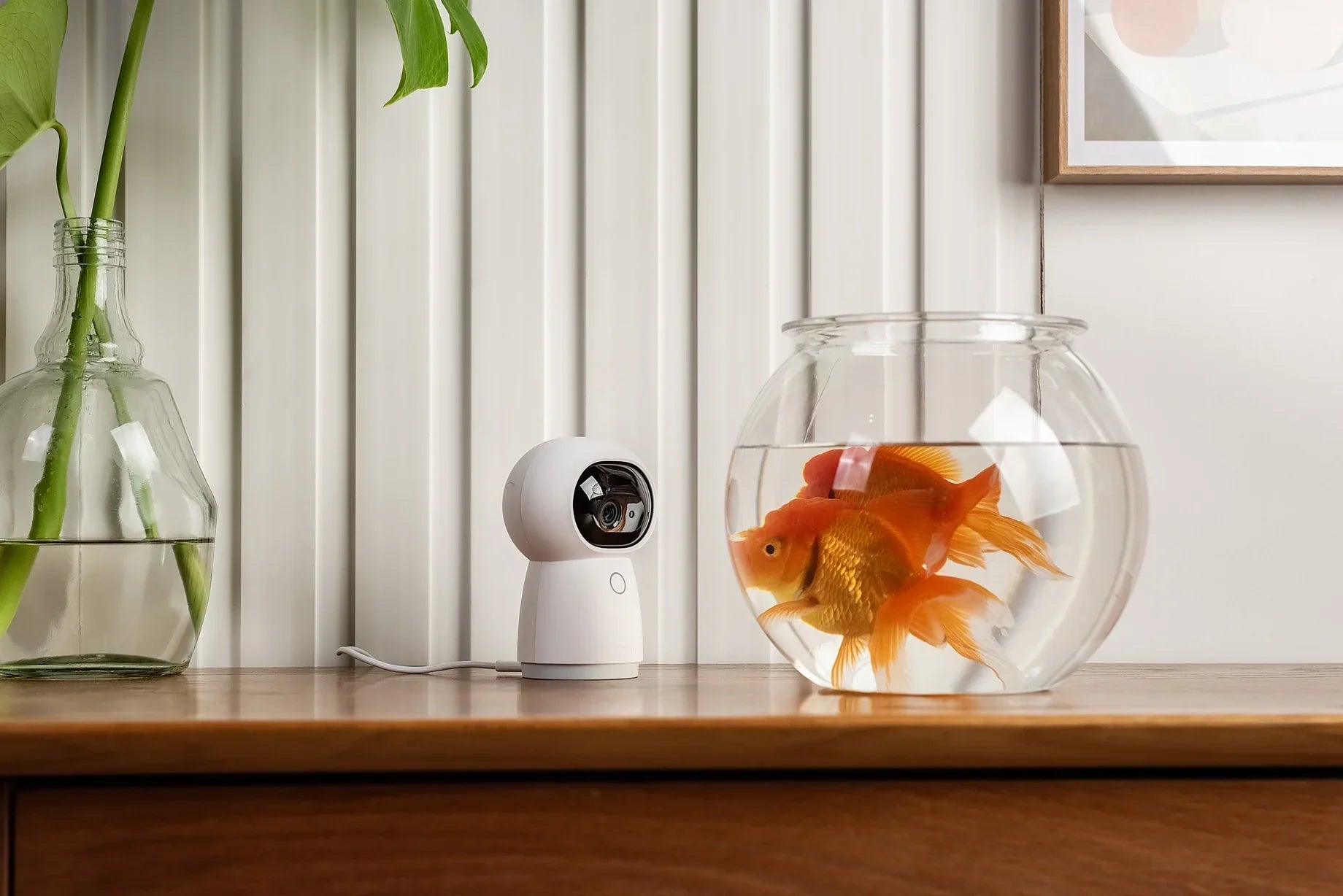 How to Remotely View Security Cameras: A Complete Guide – Aqara LLC